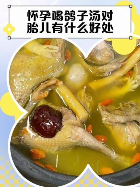 鸽子汤有什么好处_孕妇可以喝鸽子汤吗-第1张图片-山城妙识 鸽子汤有什么好处_孕妇可以喝鸽子汤吗-第1张图片-山城妙识