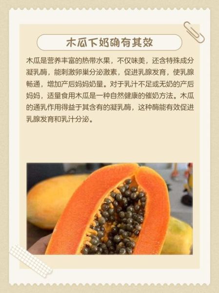 木瓜牛奶丰胸效果怎么样_木瓜牛奶什么时候喝最好-第3张图片-山城妙识 木瓜牛奶丰胸效果怎么样_木瓜牛奶什么时候喝最好-第3张图片-山城妙识