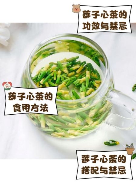 莲子心连续喝几天_莲子心泡水能天天喝吗-第1张图片-山城妙识