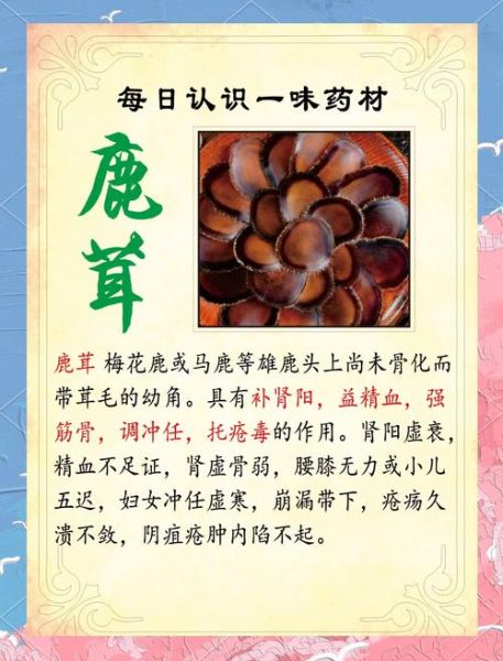 鹿茸的功效与作用有哪些_鹿茸的正确食用方法-第2张图片-山城妙识