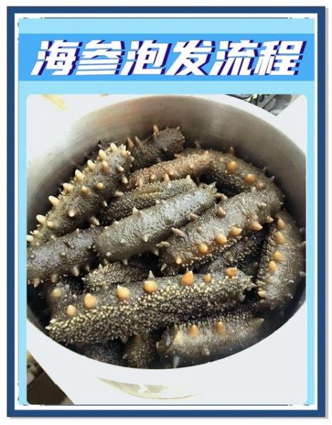 海参怎么泡发_海参最正宗的做法-第3张图片-山城妙识