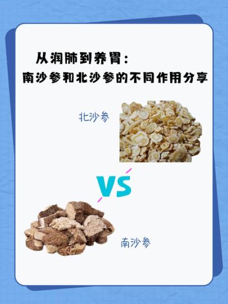 南沙参和北沙参的区别图片_哪个更适合煲汤-第1张图片-山城妙识