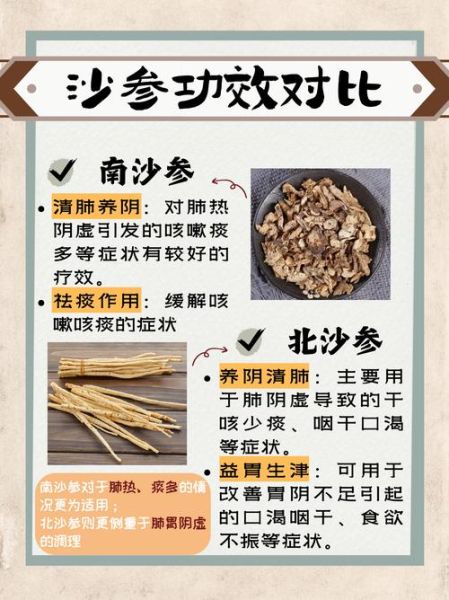 南沙参和北沙参的区别图片_哪个更适合煲汤-第2张图片-山城妙识