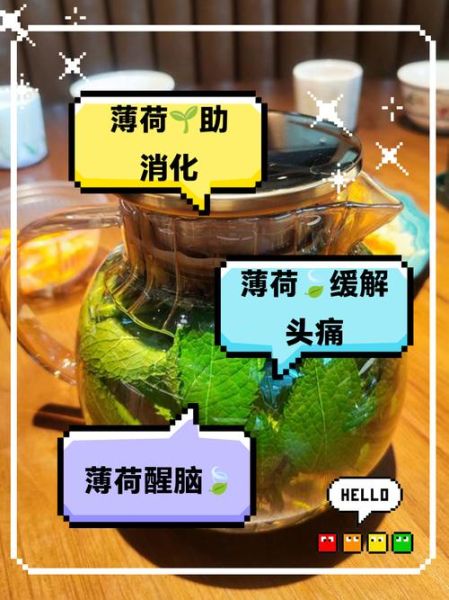 鲜薄荷叶的功效与作用_鲜薄荷叶怎么吃-第2张图片-山城妙识