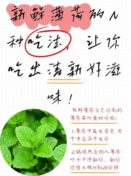 鲜薄荷叶的功效与作用_鲜薄荷叶怎么吃-第1张图片-山城妙识