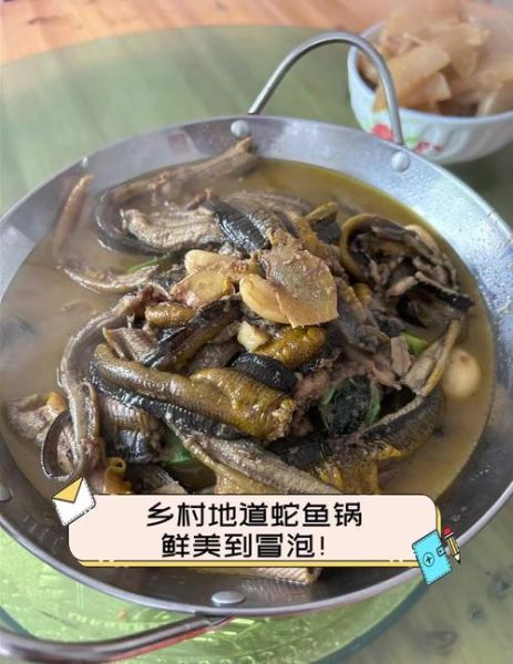 蛇鱼怎么做好吃_蛇鱼做法大全-第1张图片-山城妙识 蛇鱼怎么做好吃_蛇鱼做法大全-第1张图片-山城妙识