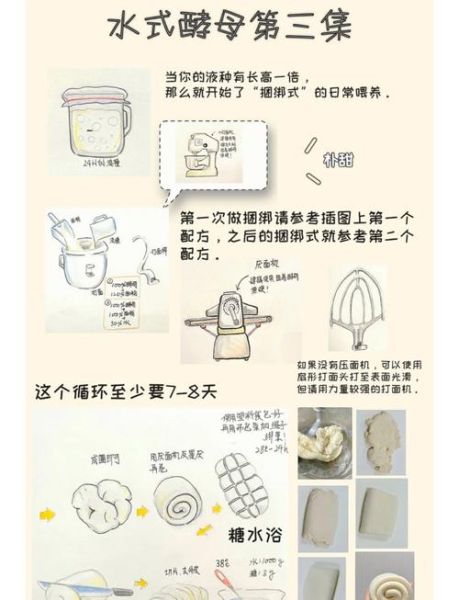 酵母粉发酵一般要多久时间_如何判断发酵完成-第1张图片-山城妙识