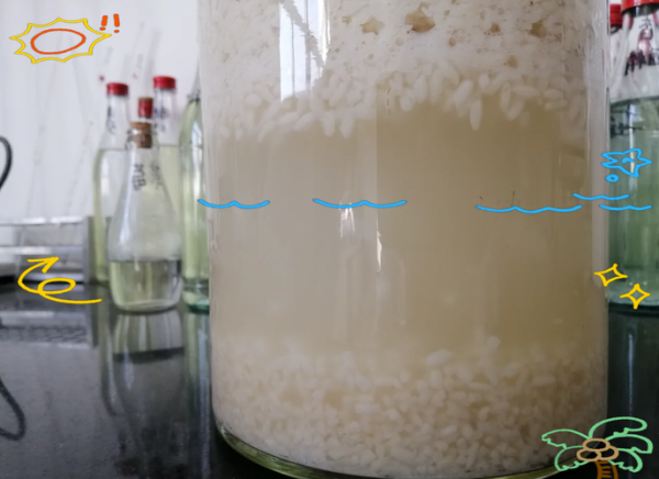 酵母粉发酵一般要多久时间_如何判断发酵完成-第3张图片-山城妙识