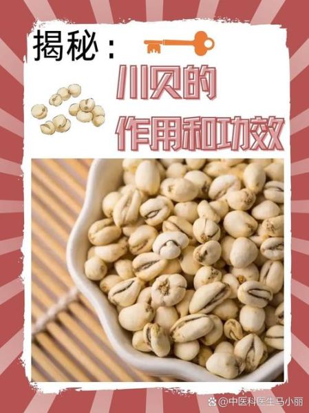 川贝母的功效与作用_川贝母怎么吃效果好-第2张图片-山城妙识