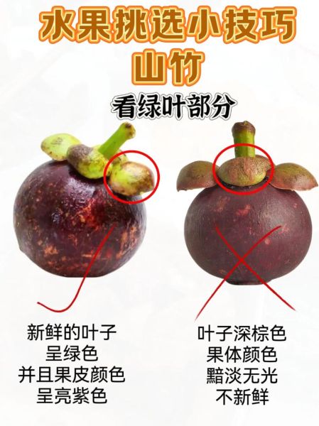 山竹果怎么吃_山竹果的功效与作用-第3张图片-山城妙识 山竹果怎么吃_山竹果的功效与作用-第3张图片-山城妙识