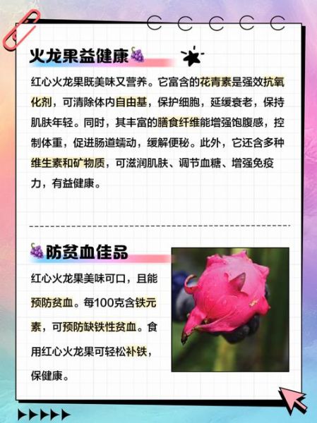 孕妇吃红心火龙果禁忌_能不能天天吃-第1张图片-山城妙识