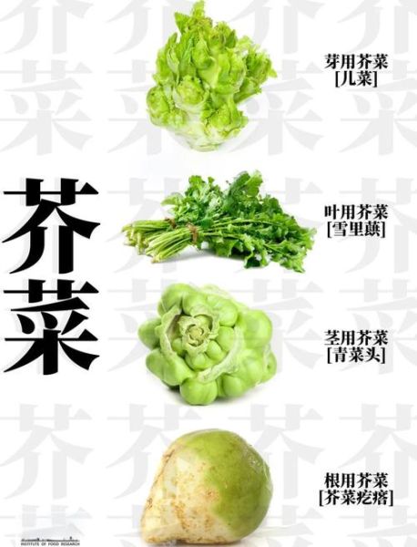 芥菜的功效与作用及禁忌_什么人不能吃芥菜-第2张图片-山城妙识