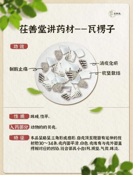 煅瓦楞子功效与作用_煅瓦楞子禁忌有哪些-第2张图片-山城妙识 煅瓦楞子功效与作用_煅瓦楞子禁忌有哪些-第2张图片-山城妙识