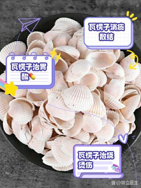 煅瓦楞子功效与作用_煅瓦楞子禁忌有哪些-第3张图片-山城妙识 煅瓦楞子功效与作用_煅瓦楞子禁忌有哪些-第3张图片-山城妙识