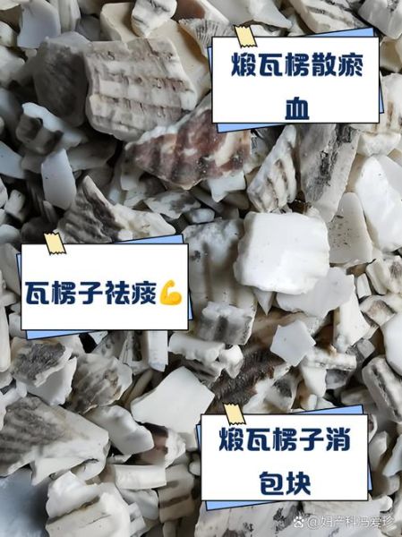 煅瓦楞子功效与作用_煅瓦楞子禁忌有哪些-第1张图片-山城妙识 煅瓦楞子功效与作用_煅瓦楞子禁忌有哪些-第1张图片-山城妙识