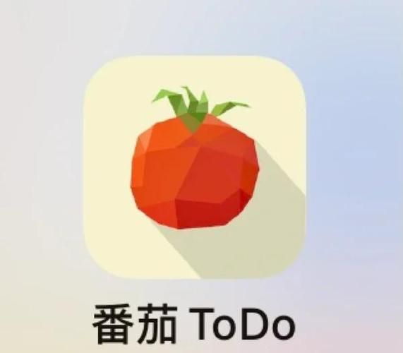 番茄todo在线视频怎么用_番茄todo在线视频功能在哪-第3张图片-山城妙识