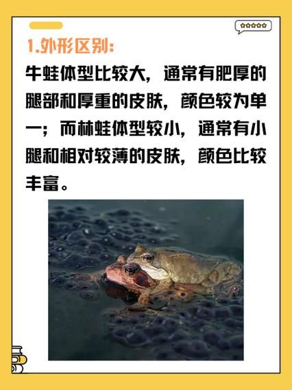 哈士蟆的功效与副作用_哈士蟆适合什么人吃-第3张图片-山城妙识 哈士蟆的功效与副作用_哈士蟆适合什么人吃-第3张图片-山城妙识