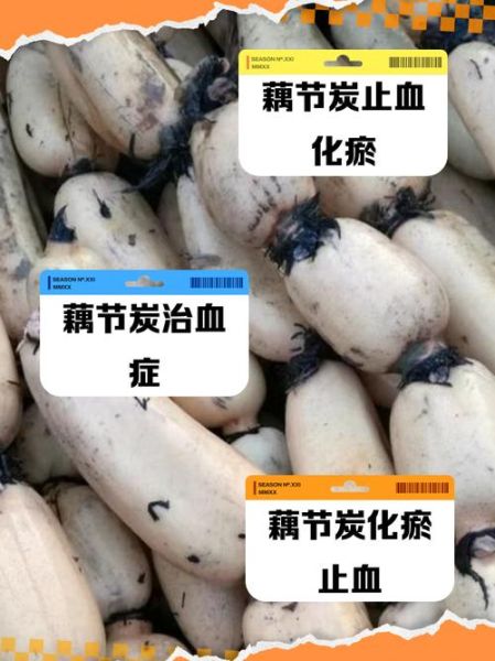 藕节炭的功效与作用_藕节炭怎么服用-第1张图片-山城妙识 藕节炭的功效与作用_藕节炭怎么服用-第1张图片-山城妙识