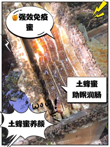 土蜂蜜的功效与作用_土蜂蜜怎么吃效果最好-第2张图片-山城妙识 土蜂蜜的功效与作用_土蜂蜜怎么吃效果最好-第2张图片-山城妙识