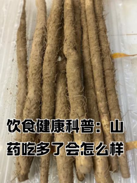 山药图片大全_山药怎么挑选才新鲜-第3张图片-山城妙识