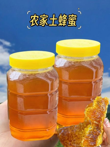 土蜂蜜的功效与作用_土蜂蜜怎么吃效果最好-第3张图片-山城妙识 土蜂蜜的功效与作用_土蜂蜜怎么吃效果最好-第3张图片-山城妙识