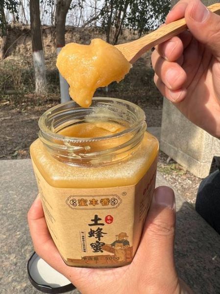 土蜂蜜的功效与作用_土蜂蜜怎么吃效果最好-第1张图片-山城妙识 土蜂蜜的功效与作用_土蜂蜜怎么吃效果最好-第1张图片-山城妙识