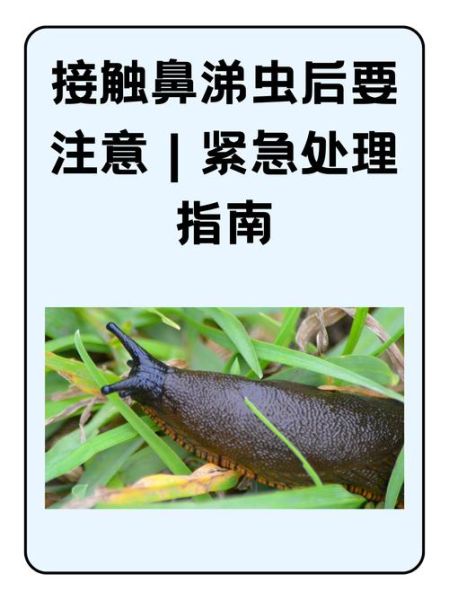 蛞蝓有毒吗_蛞蝓怎么消灭-第2张图片-山城妙识 蛞蝓有毒吗_蛞蝓怎么消灭-第2张图片-山城妙识