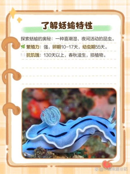 蛞蝓有毒吗_蛞蝓怎么消灭-第1张图片-山城妙识 蛞蝓有毒吗_蛞蝓怎么消灭-第1张图片-山城妙识