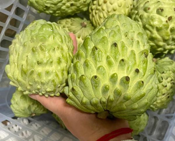 凤梨释迦果怎么吃_释迦果怎么吃图解-第3张图片-山城妙识 凤梨释迦果怎么吃_释迦果怎么吃图解-第3张图片-山城妙识