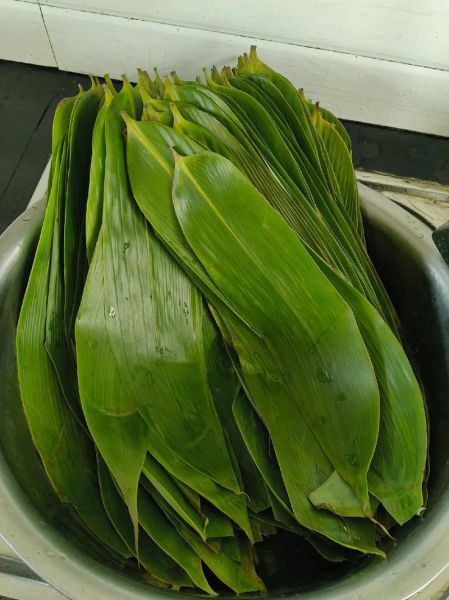 粽叶是什么叶子_为什么包粽子这么香-第1张图片-山城妙识