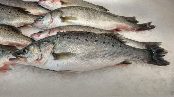 海鲈鱼刺多吗_适合宝宝吃吗-第1张图片-山城妙识