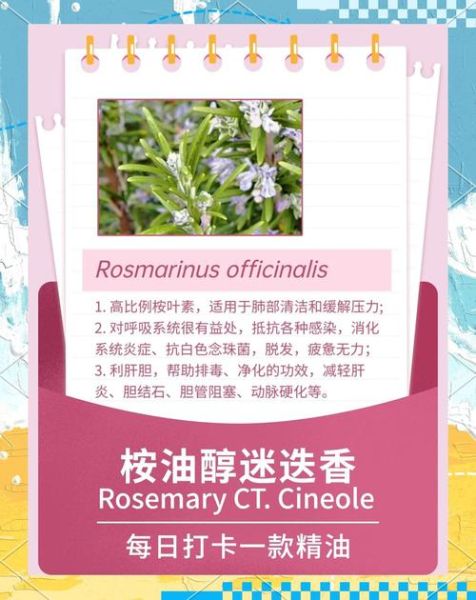 桉油的功效与作用_桉油怎么用效果最好-第1张图片-山城妙识