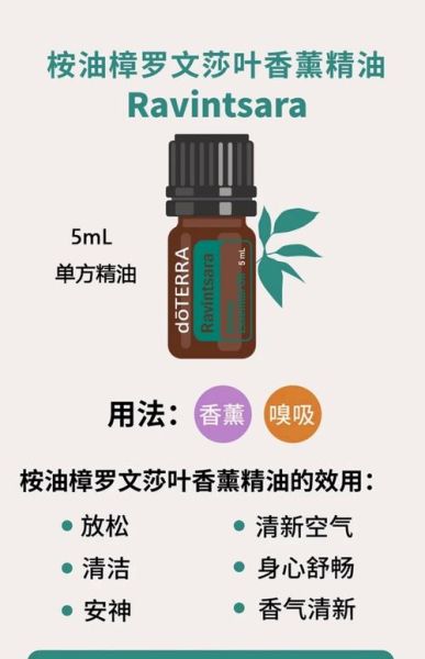 桉油的功效与作用_桉油怎么用效果最好-第2张图片-山城妙识