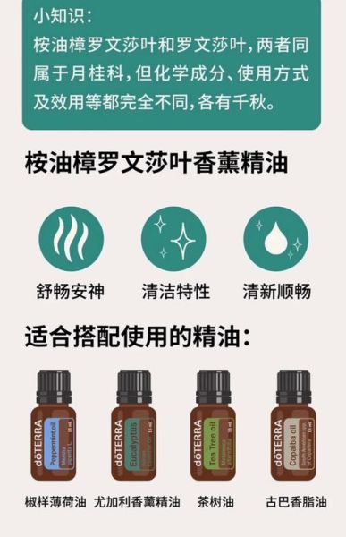 桉油的功效与作用_桉油怎么用效果最好-第3张图片-山城妙识