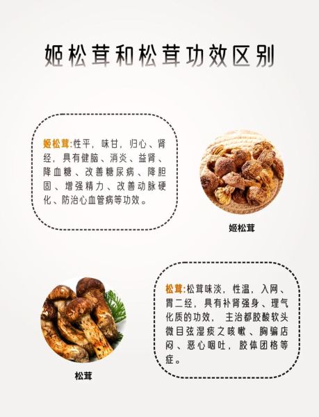 鲜姬松茸的功效与禁忌_什么人不能吃-第3张图片-山城妙识 鲜姬松茸的功效与禁忌_什么人不能吃-第3张图片-山城妙识