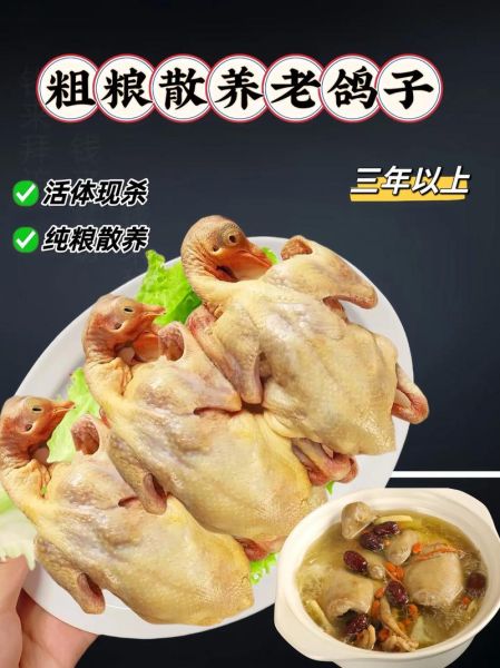 红烧鸽子怎么做好吃_红烧鸽子最正宗的做法-第1张图片-山城妙识