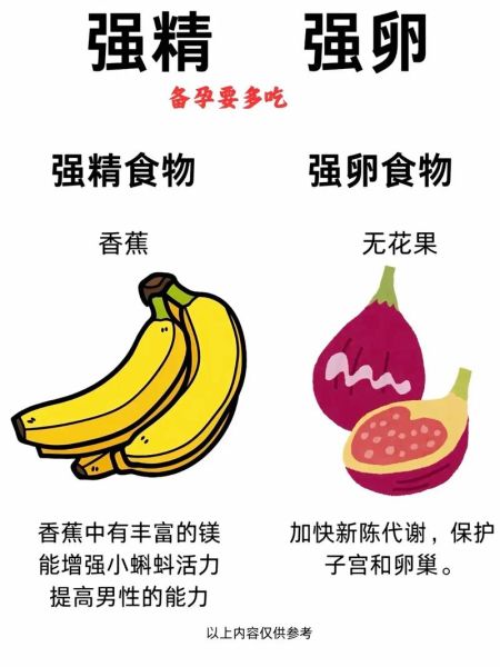 备孕吃什么容易受孕_备孕期间饮食禁忌有哪些-第3张图片-山城妙识 备孕吃什么容易受孕_备孕期间饮食禁忌有哪些-第3张图片-山城妙识