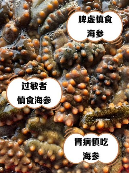 什么病不能吃海参_海参禁忌人群有哪些-第1张图片-山城妙识 什么病不能吃海参_海参禁忌人群有哪些-第1张图片-山城妙识