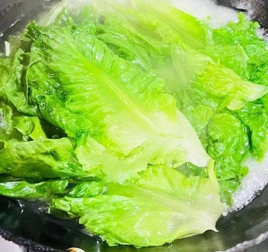 生菜什么时候种最合适_生菜种植方法全过程-第1张图片-山城妙识