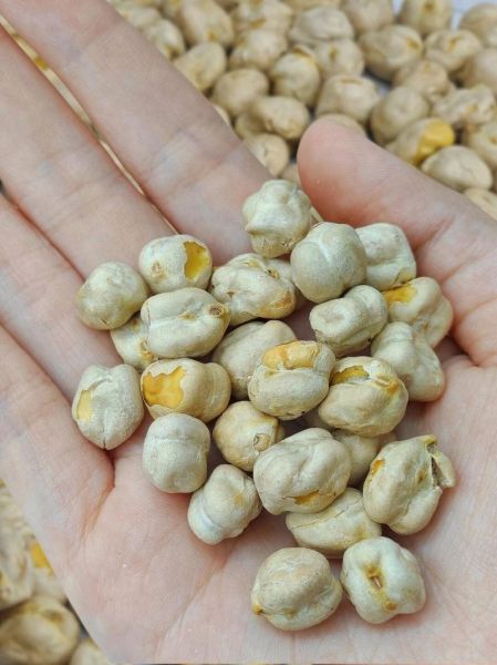 鹰嘴豆图片怎么拍_鹰嘴豆图片高清素材哪里找-第1张图片-山城妙识