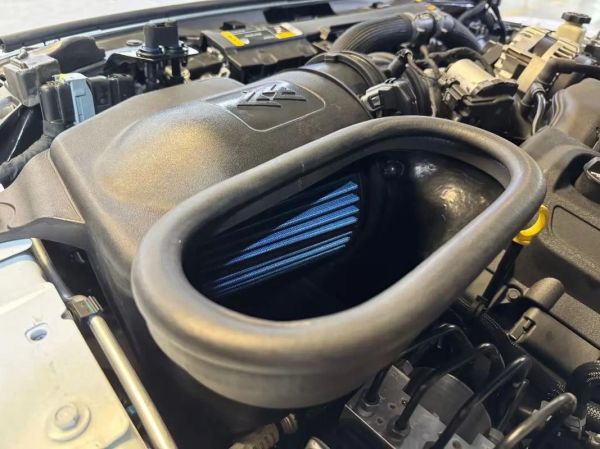 冬菇头有用吗_冬菇头改装效果怎么样-第2张图片-山城妙识