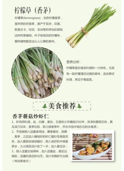 香茅草的功效与作用_香茅草的副作用和禁忌-第3张图片-山城妙识