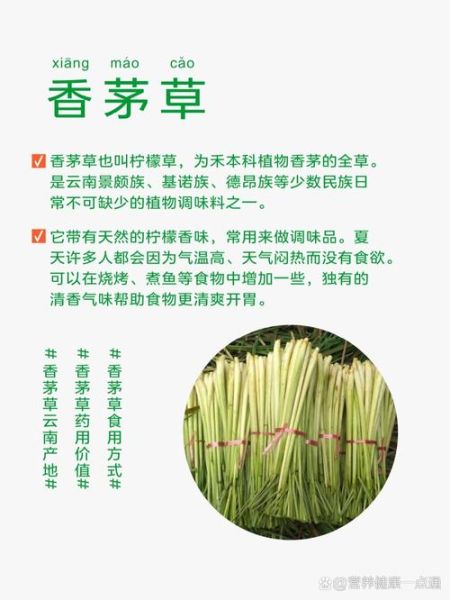 香茅草的功效与作用_香茅草的副作用和禁忌-第1张图片-山城妙识
