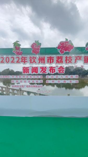 荔枝新闻怎么投稿_荔枝新闻投稿邮箱是多少-第3张图片-山城妙识