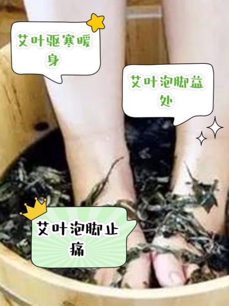 艾叶泡脚的正确方法_艾叶泡脚多久一次-第1张图片-山城妙识