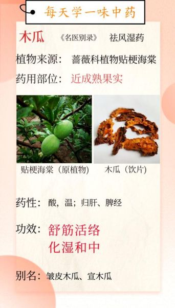 药用木瓜很硬怎么吃_怎么变软-第1张图片-山城妙识