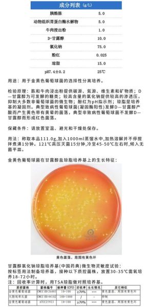 琼脂在培养基中的作用_为什么培养基要加琼脂-第2张图片-山城妙识