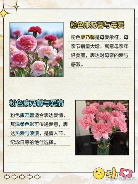 康乃馨花语有哪些含义_送妈妈康乃馨选什么颜色-第1张图片-山城妙识