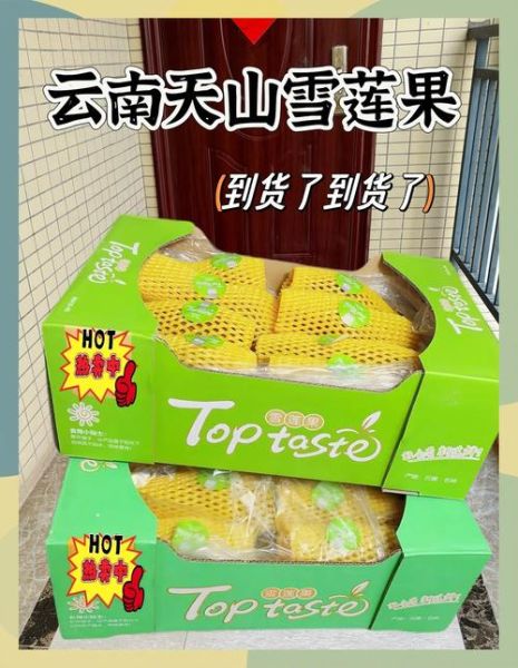 云南天山雪莲果怎么吃_雪莲果的吃法大全-第3张图片-山城妙识 云南天山雪莲果怎么吃_雪莲果的吃法大全-第3张图片-山城妙识