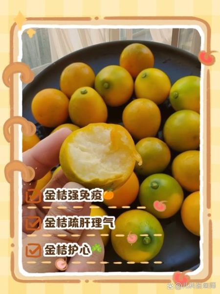 小金桔败火还是上火_小金桔上火怎么办-第3张图片-山城妙识